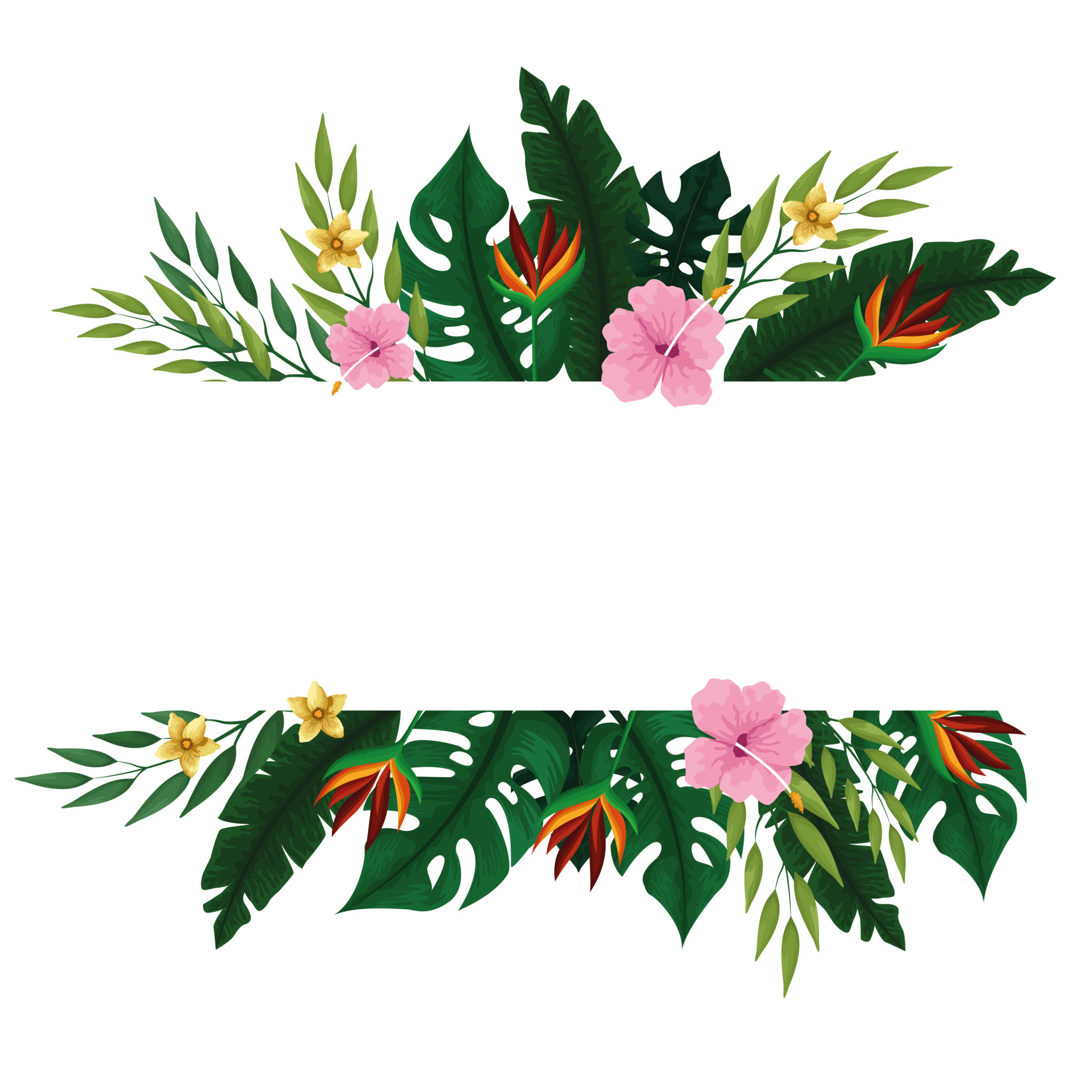 Summer tropical blank card frame – eTree.pk