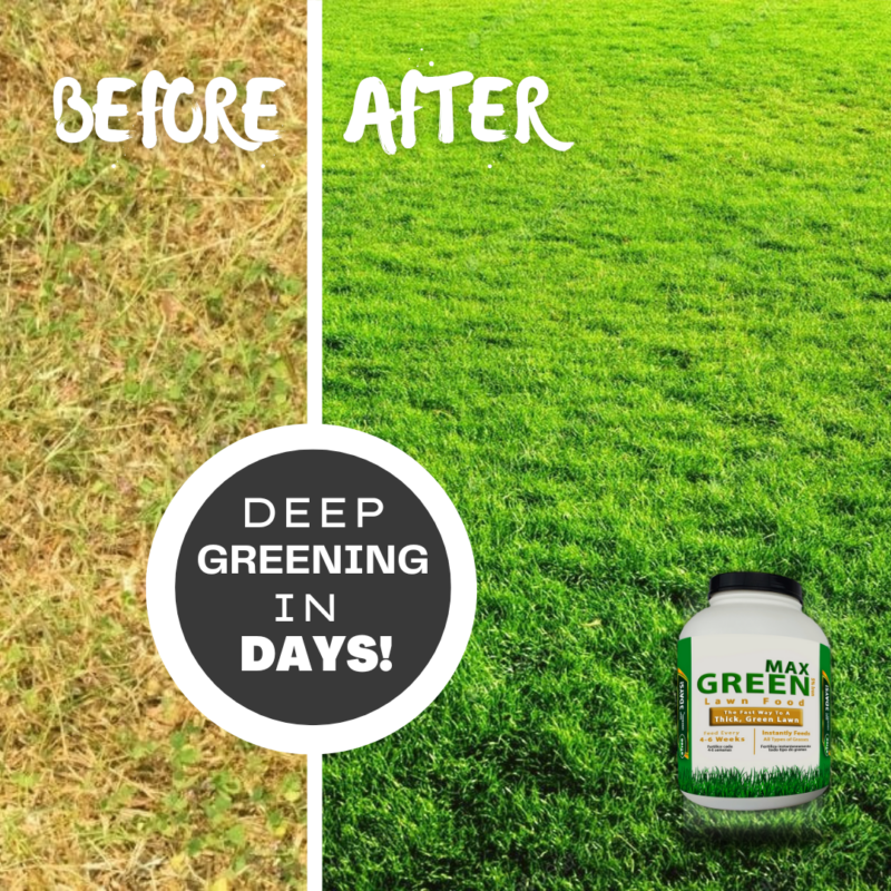 Max Green – Lawn Food | Deep Green in 3 Days! (Imported) – New ...