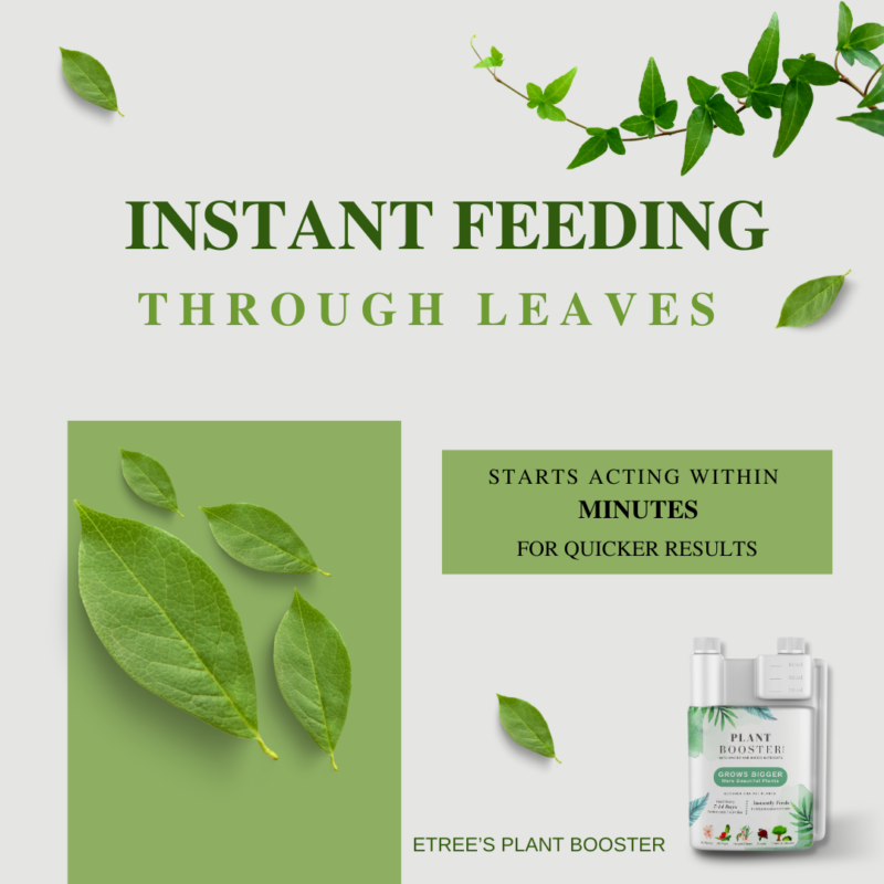 Plant Booster – Imported Plant Food – eTree.pk