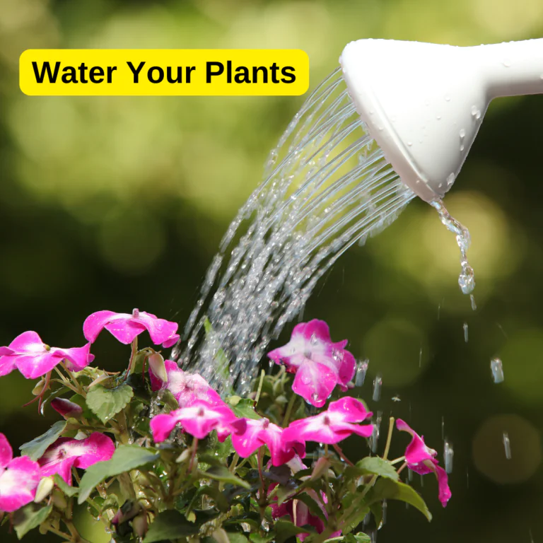 Plant Booster – Imported Plant Food – eTree.pk